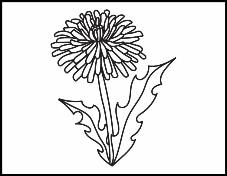 Dandelion Coloring Pages | Roaring Spork